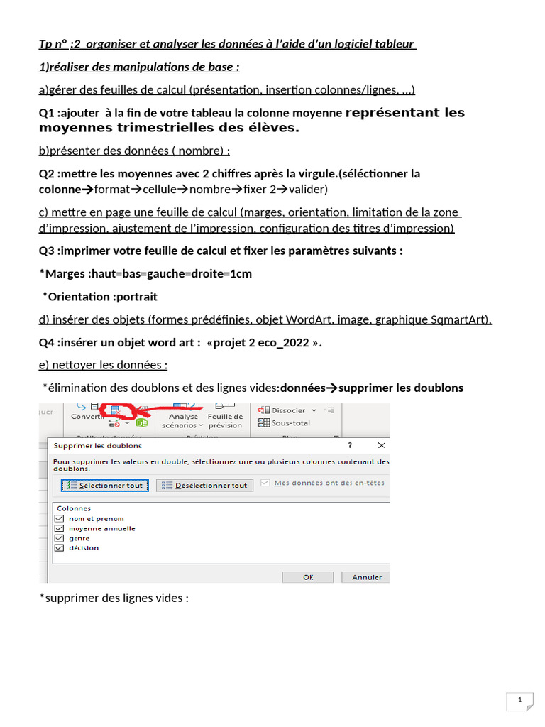 tableur-organiser et analyser les données_2eco | PDF