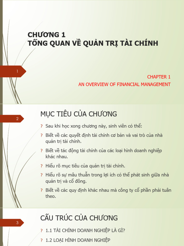 Chapter01 OverviewFinancialManagement | PDF