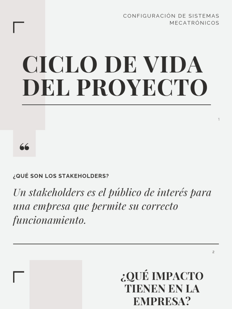 Ciclo De Vida Del Proyecto Pdf