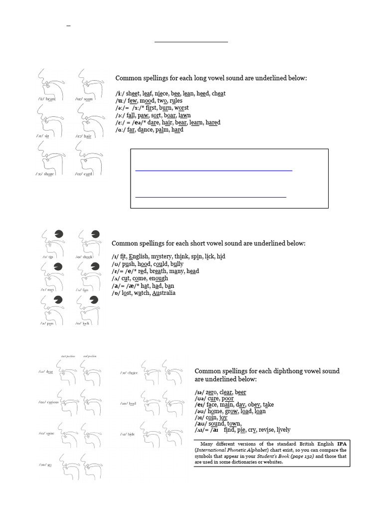 PHONETICS_theory_BACH | PDF