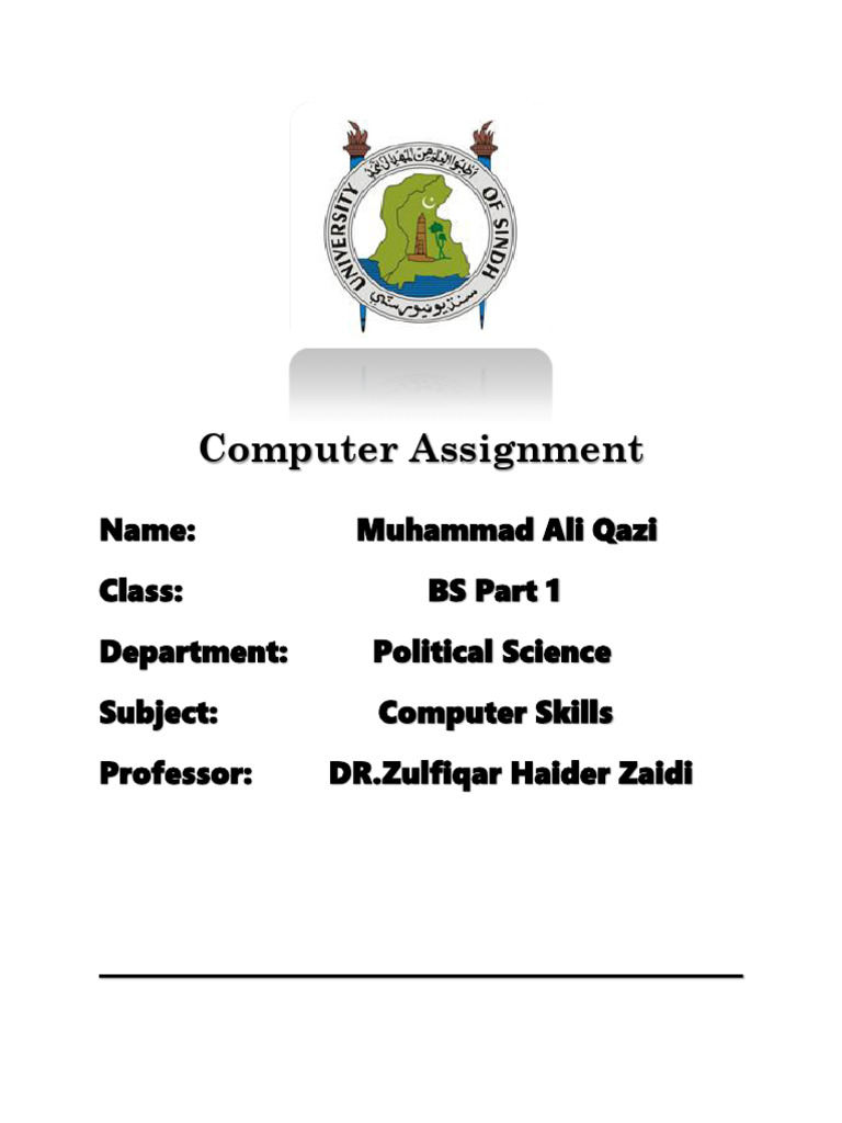 Computer Assignment | PDF