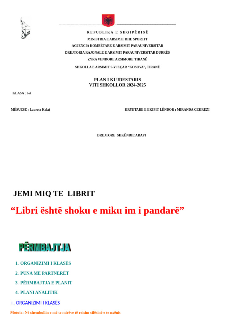 Plani I Oreve Te Kujdestarise | PDF