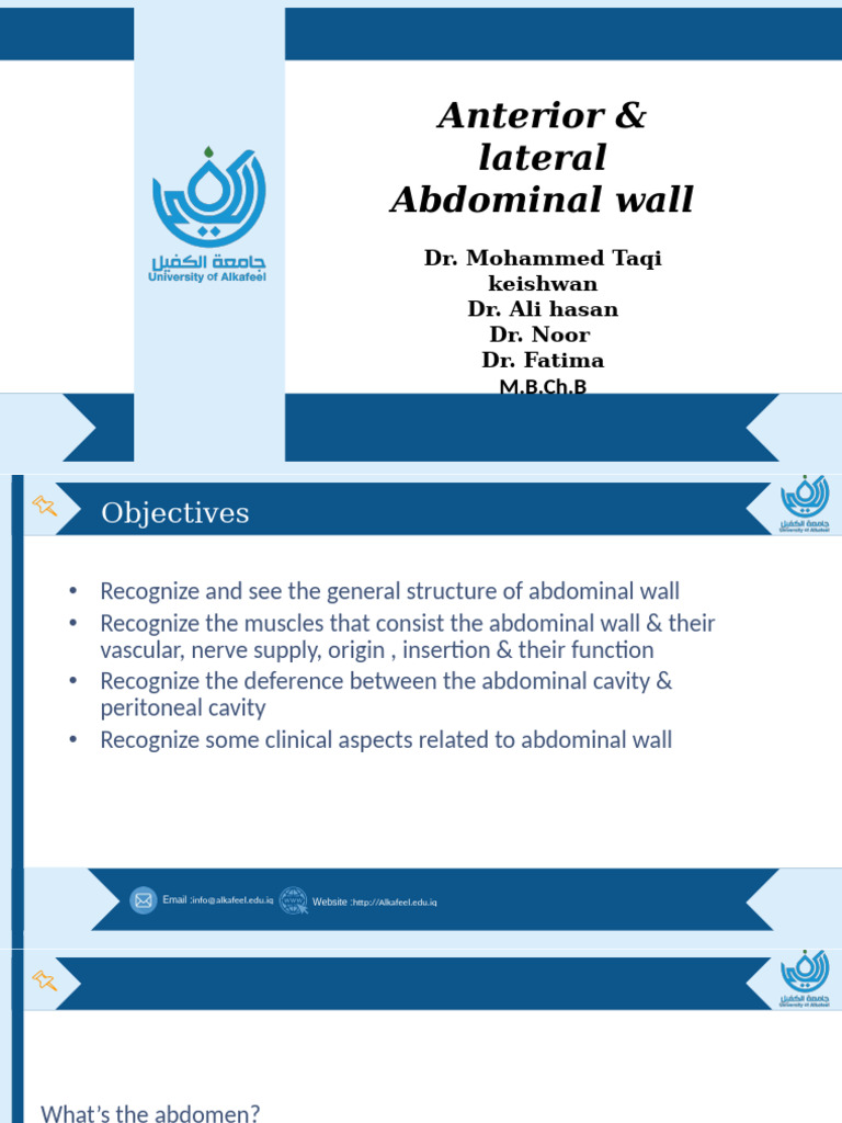 Abdominal Wall (2nd Stage Anatomy ) | PDF