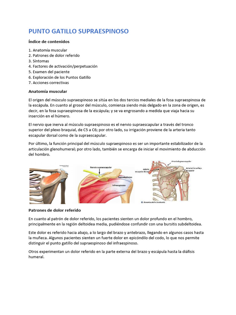 Punto Gatillo Supraespinoso | PDF