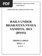 Reference & Revision Under BNSS | PDF | Judge | Appeal