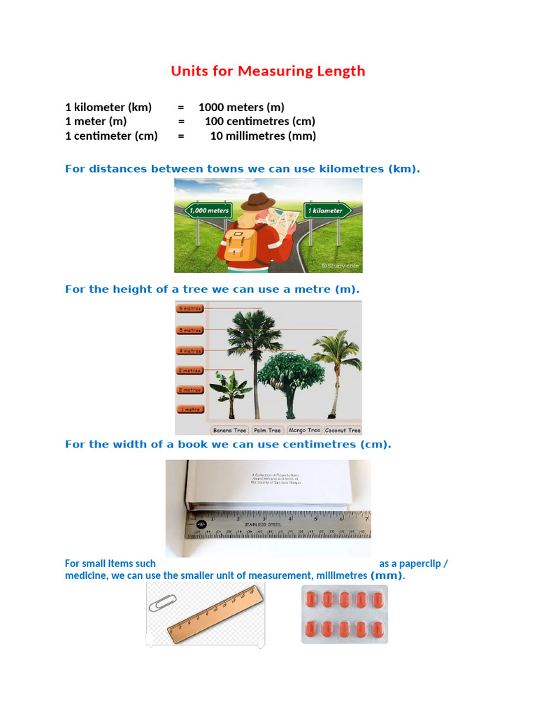 Units of Measurement (Basics) | PDF