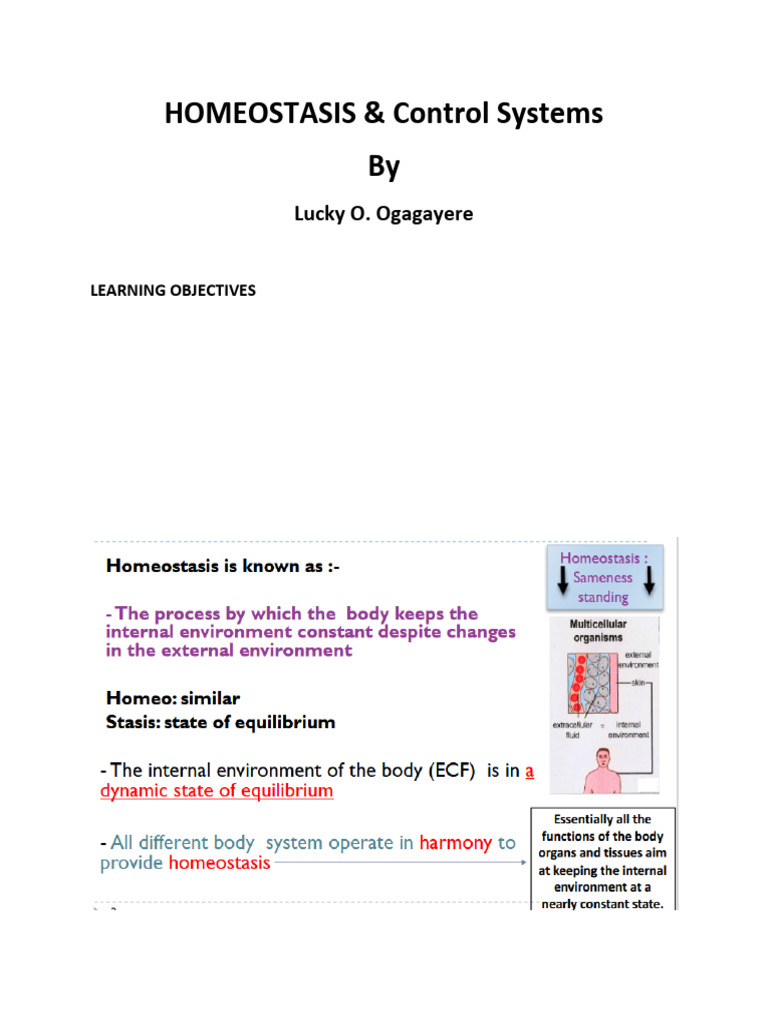 HOMEOSTASIS | PDF