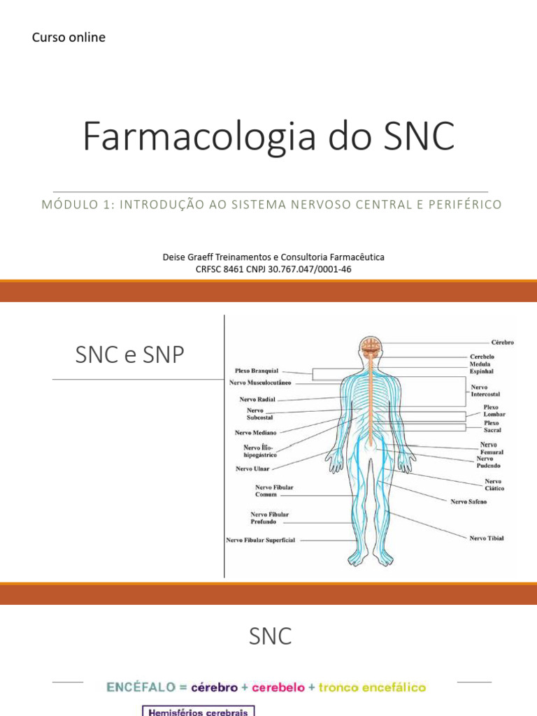 Farmacologia Do SNC 1 Atualizado | PDF | Neurônio | Sistema nervoso central