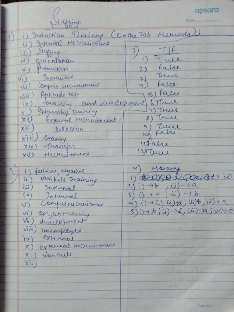 Staffing Worksheet Answers | PDF | Young Adult