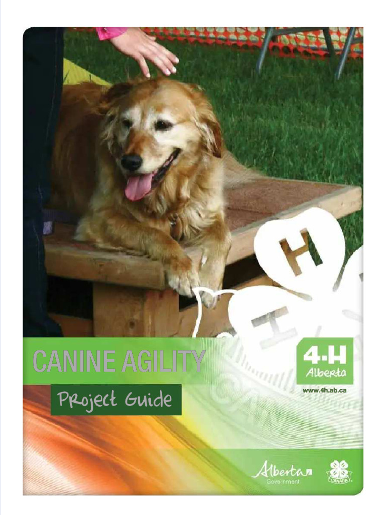 Project Guide | PDF | Skeleton | Dogs