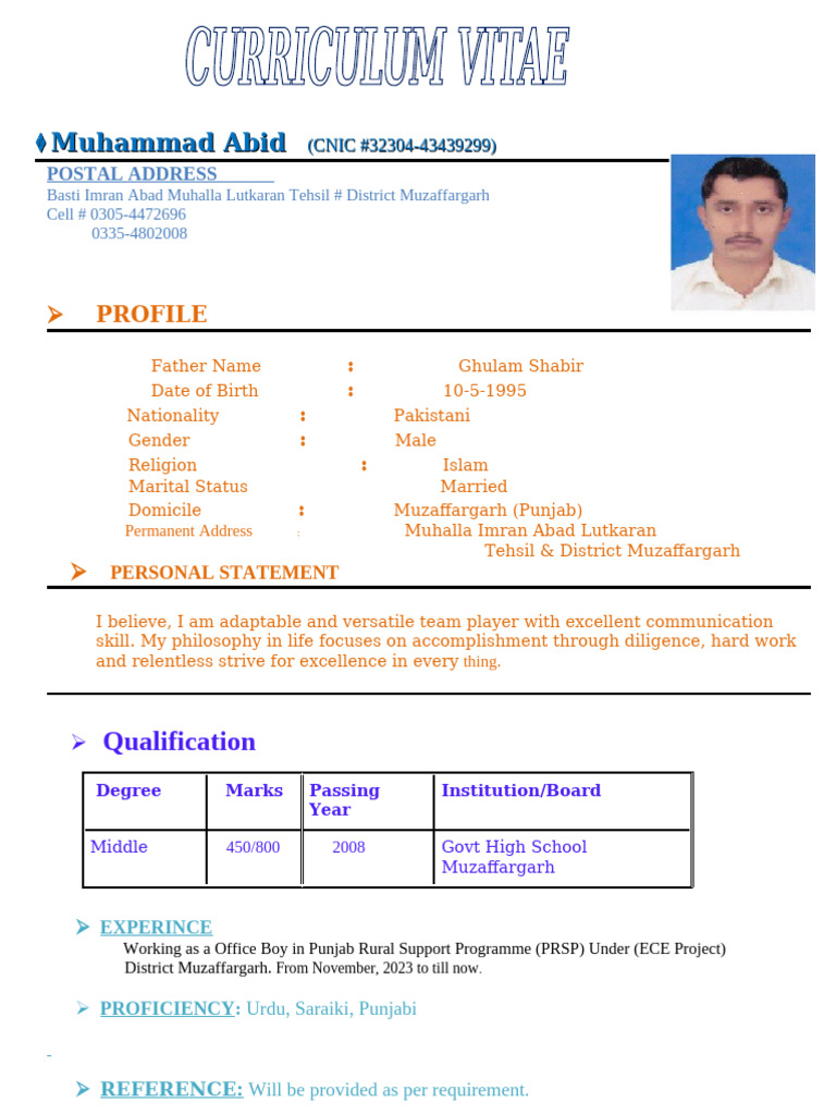 Muhammad Abid CV and Profile Summary | PDF