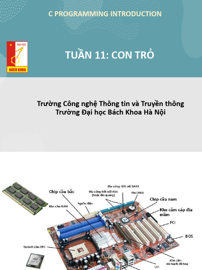 CIntro Week11 VI Pointer | PDF