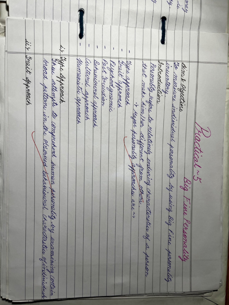 Big 5 Personality Factors Practical | PDF