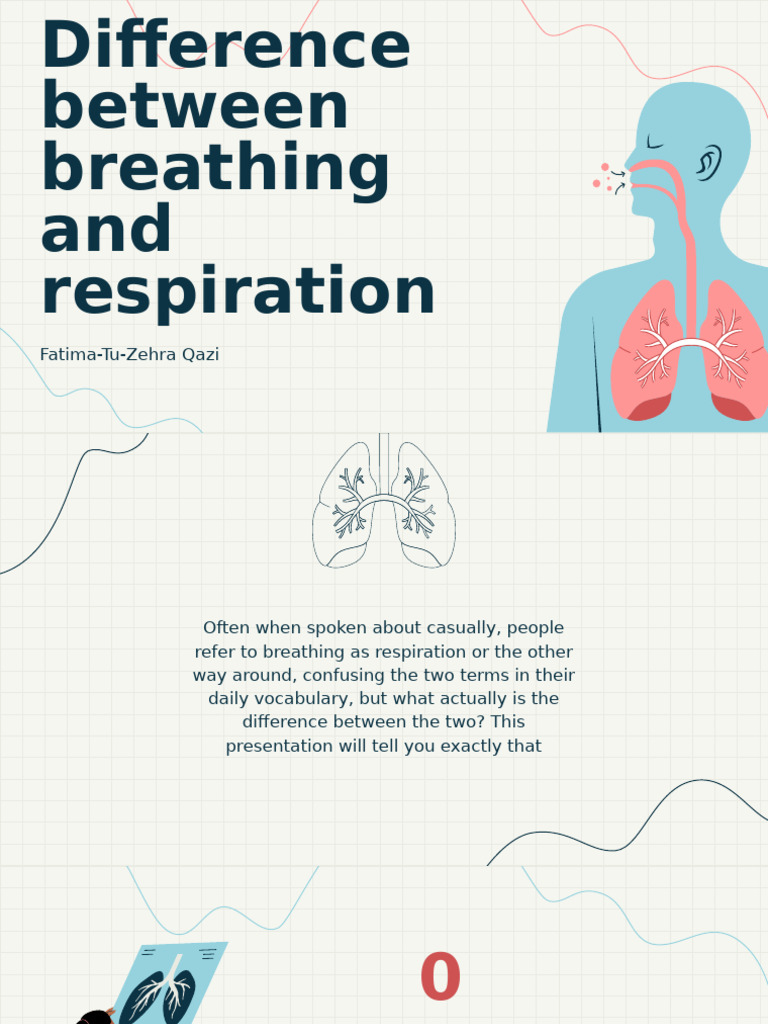 Difference Between Breathing and Respiration | PDF