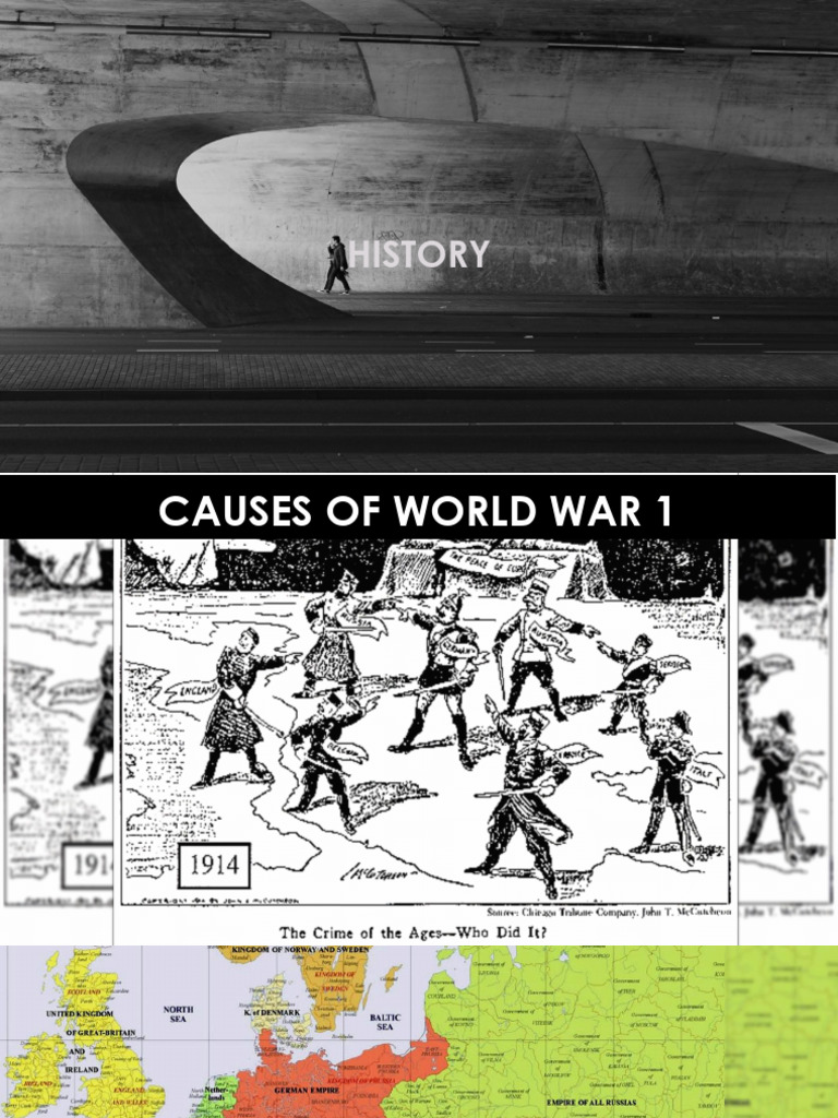 Causes of World War 1 | PDF | Austria Hungary | Allies Of World War I