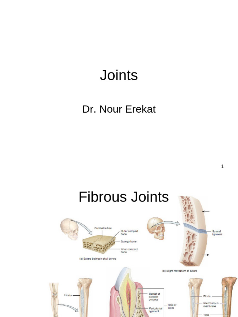 Types and Movements of Joints | PDF