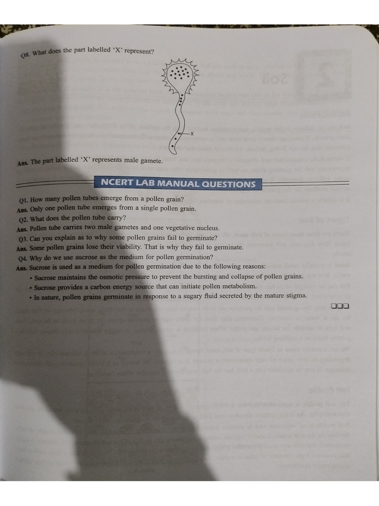 Important Practicle For 12th Sci. | PDF