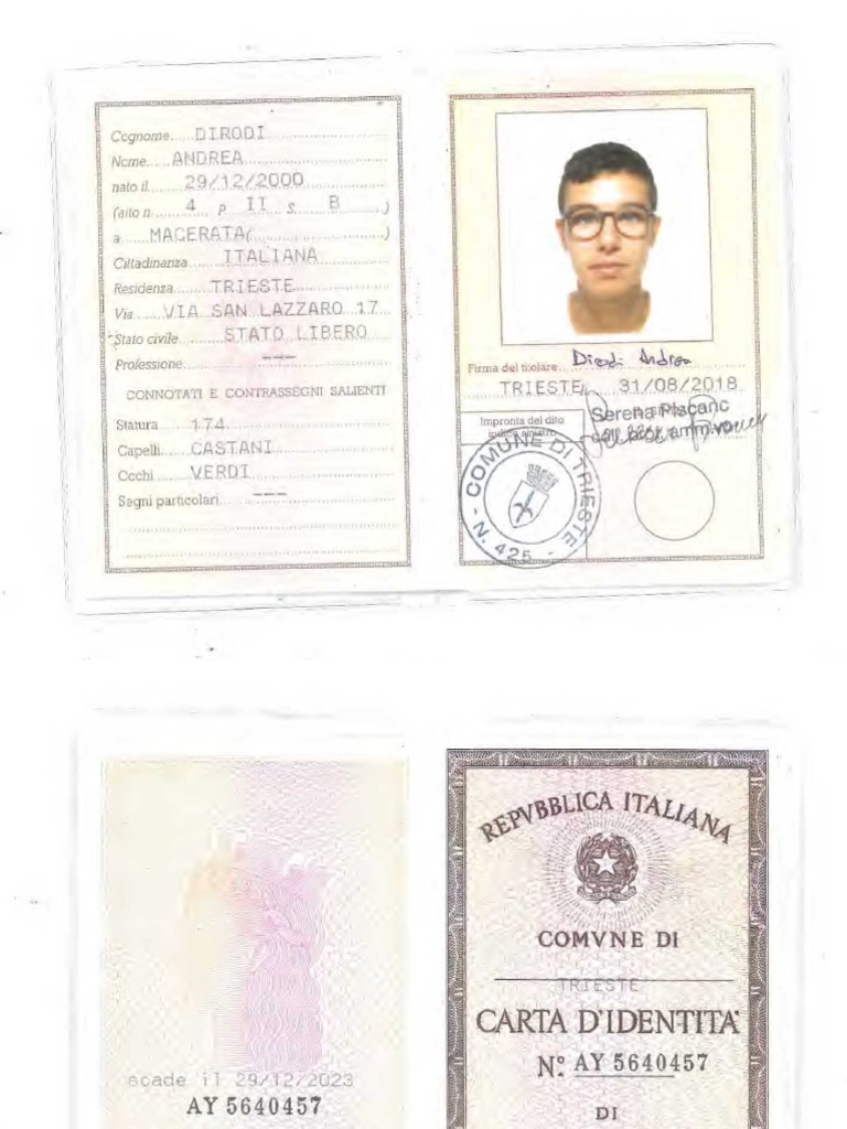 Carta d'identità Andrea | PDF