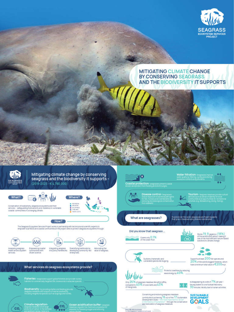 IKI6651 I Seagrass Ecosystem Services I Infographic Pamphlet A3 V9 ...