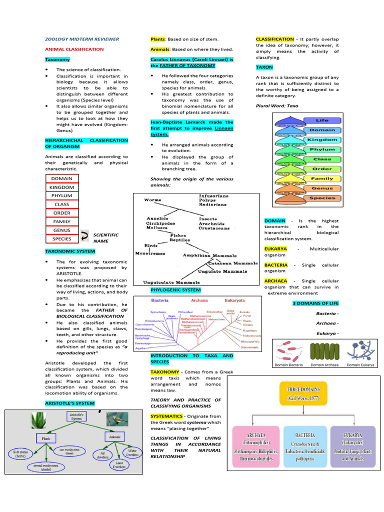 Zoology Midterm Reviewer | PDF | Taxonomy (Biology) | Egg