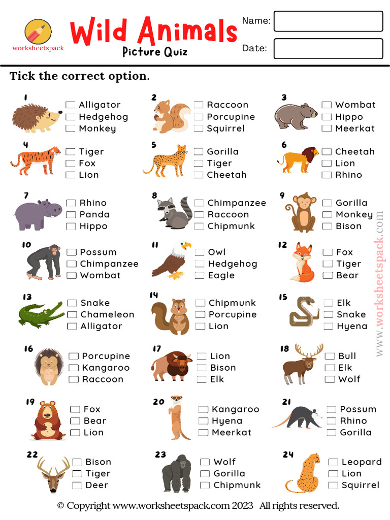 Animal Quiz Free Printable Animal Picture Test | PDF | Lion