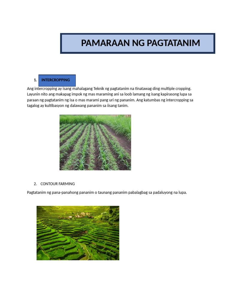 Pamaraan NG Pagtatanim | PDF
