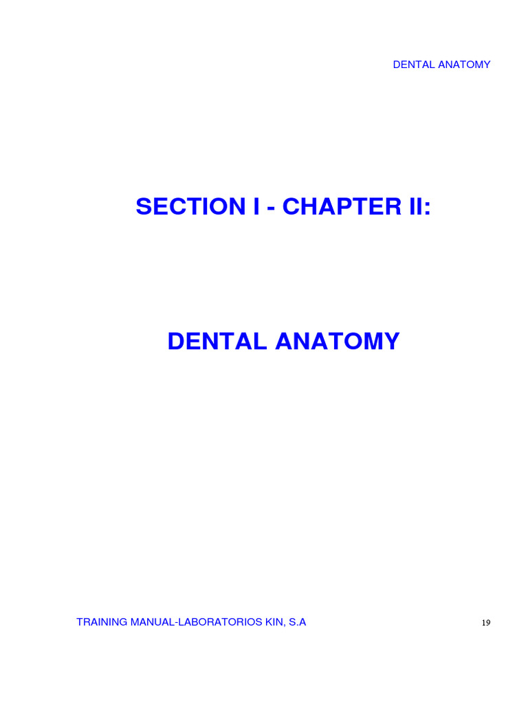 Dental Anatomy Overview and Structure | PDF | Tooth | Dental Anatomy