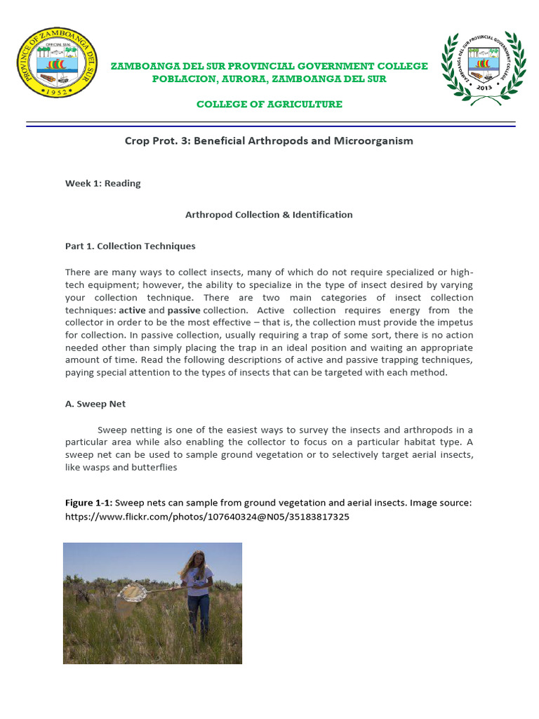 CP.3-Reading-materials | PDF | Insects | Genus