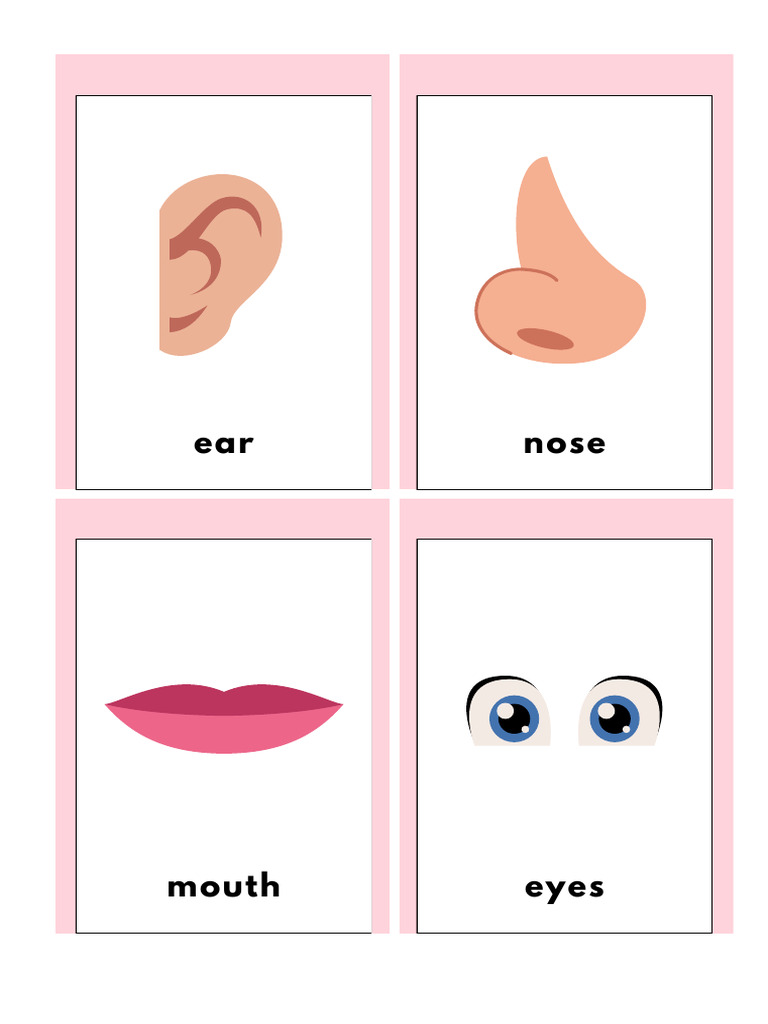 Color and Greyscale Body Parts Flashcards For Speech Therapy | PDF