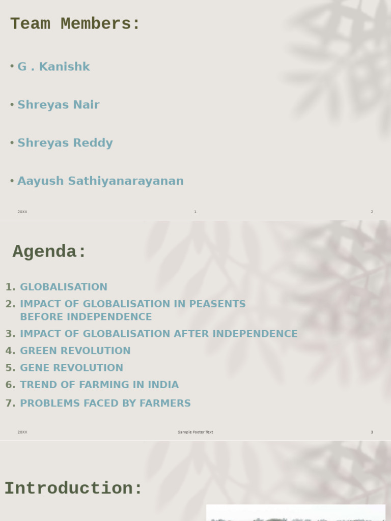 SST SEMINAR AGRI | PDF | Agriculture | Genetically Modified Crops