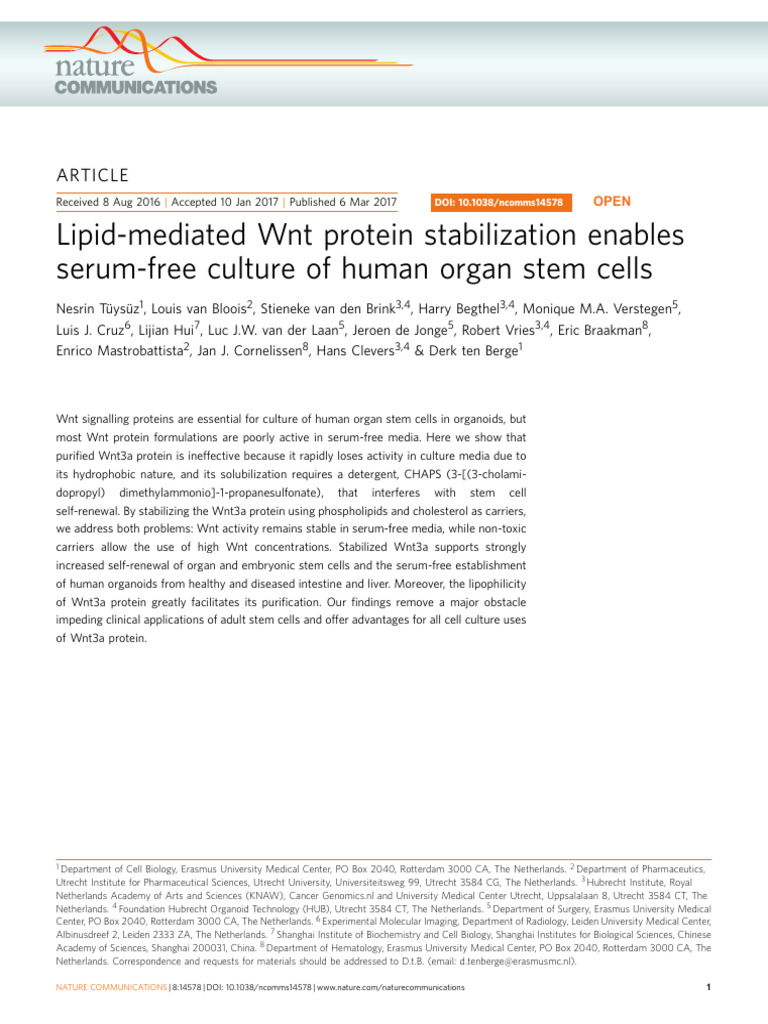 Stabilizing Wnt3a for Stem Cell Culture | PDF | Stem Cell | Health Sciences