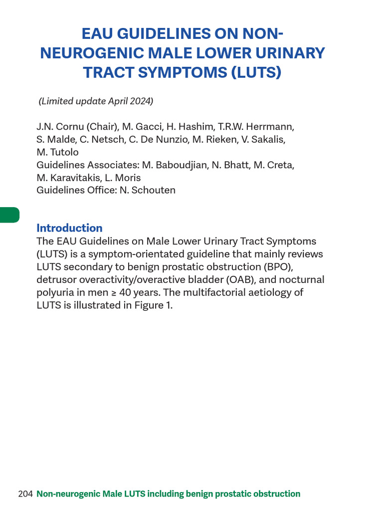 2024 EAU Pocket Guidelines Non Neurrogenic Male LUTS | PDF | Urinary ...