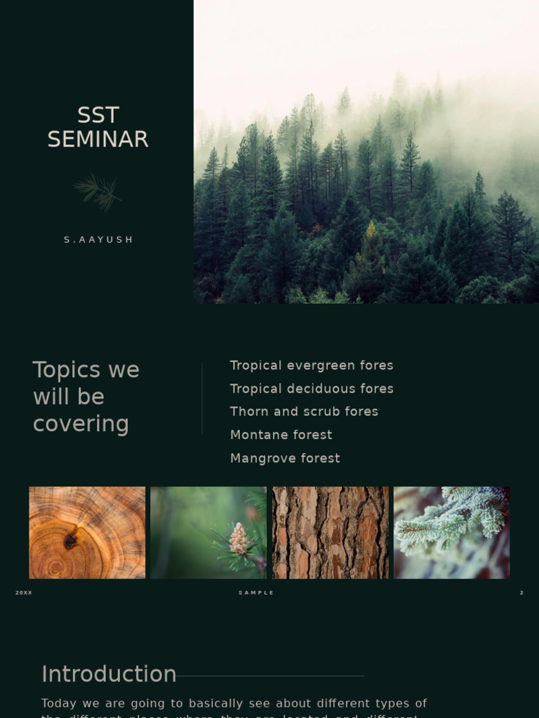 Sst Seminar | PDF | Forests | Trees