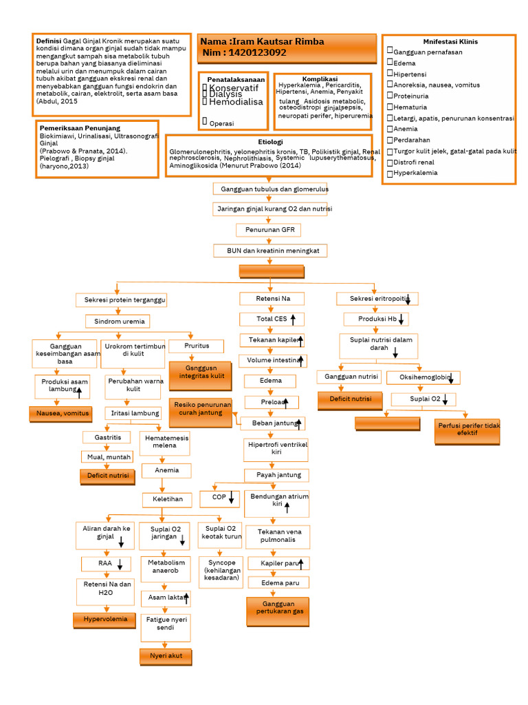 Iram Kautsar Rimba Mapping | PDF