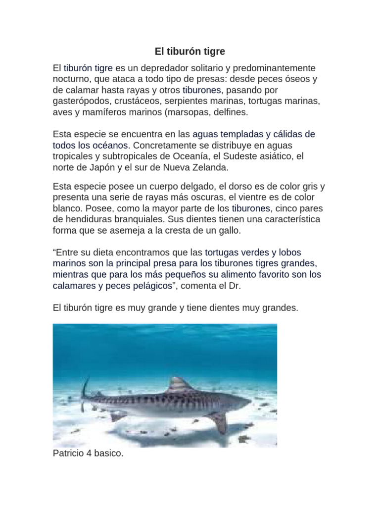 El Tiburón Tigre | PDF | Viajes y turismo | Hogar, jardinería y bricolaje