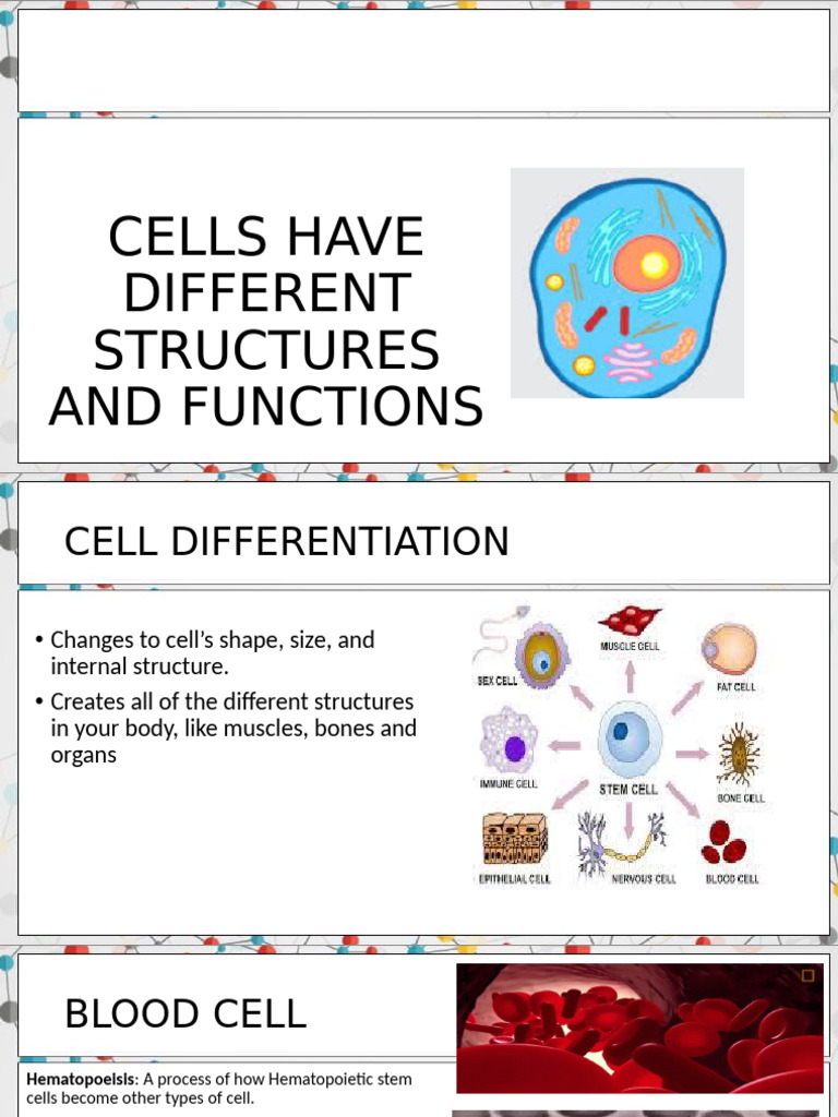 Types and Functions of Human Cells | PDF | Self-Improvement | Science ...
