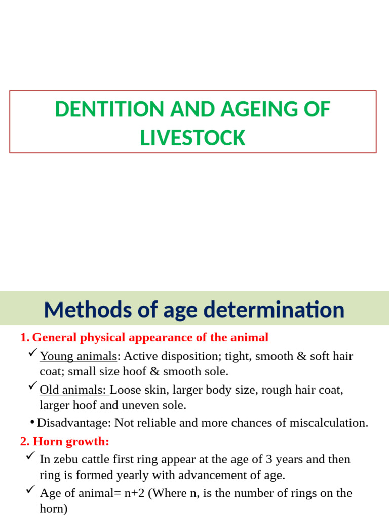 Dentition and Ageing of Livestock | PDF | Tooth | Dentistry Branches