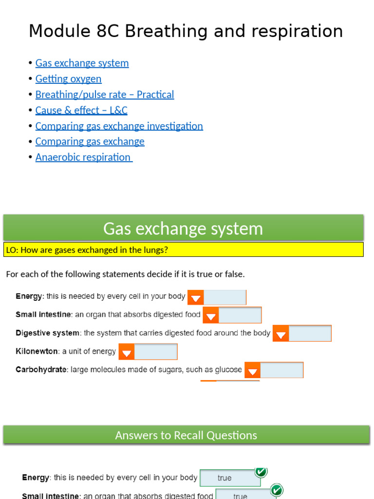 8C Breathing and Respiration | PDF | Breathing | Cellular Respiration