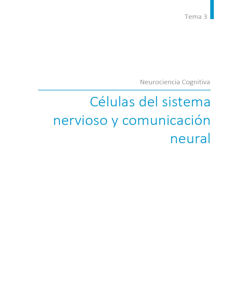 Tema 3 | PDF | Sinapsis | Neurona