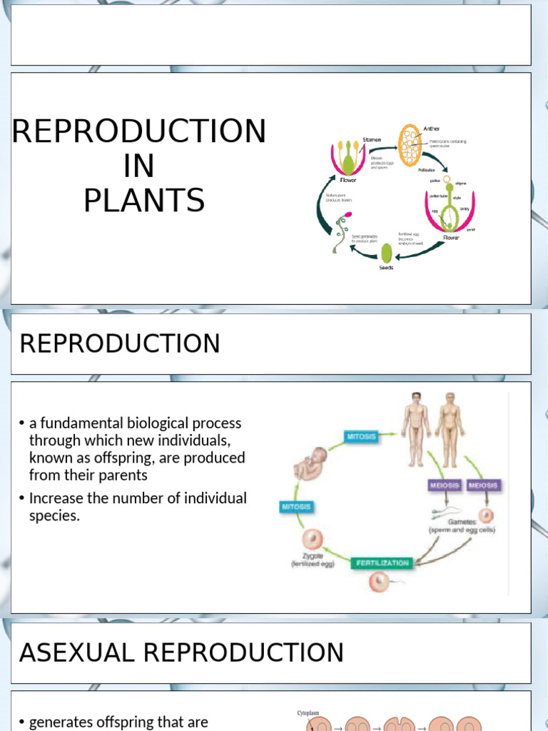 Plant Reproduction: Asexual & Sexual Methods | PDF | Flowers | Pollination