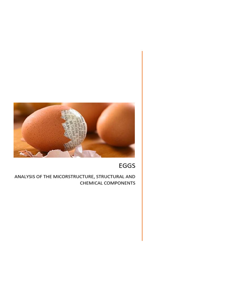 Group 9 Eggs Project Brief | PDF | Phospholipid | Thin Layer Chromatography