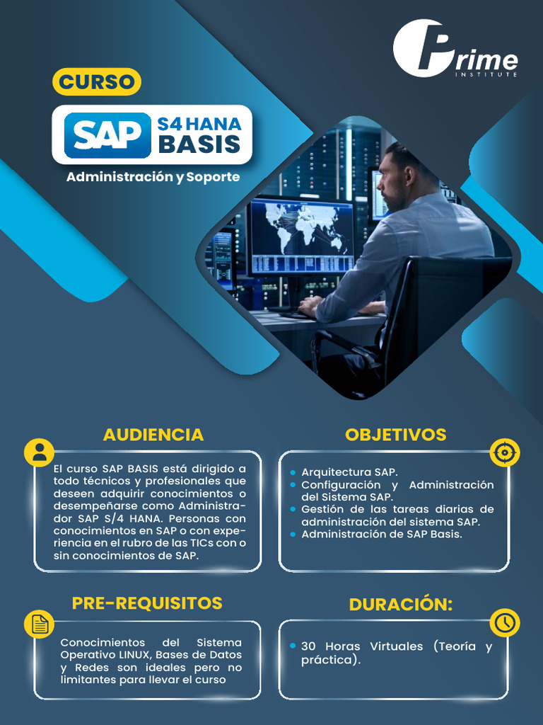 Sap Basis | PDF | Informática | Tecnologías de la información