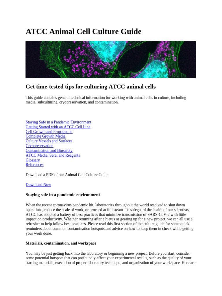 ATCC Animal Cell Culture Guide | PDF | Cell Culture | Carbon Dioxide