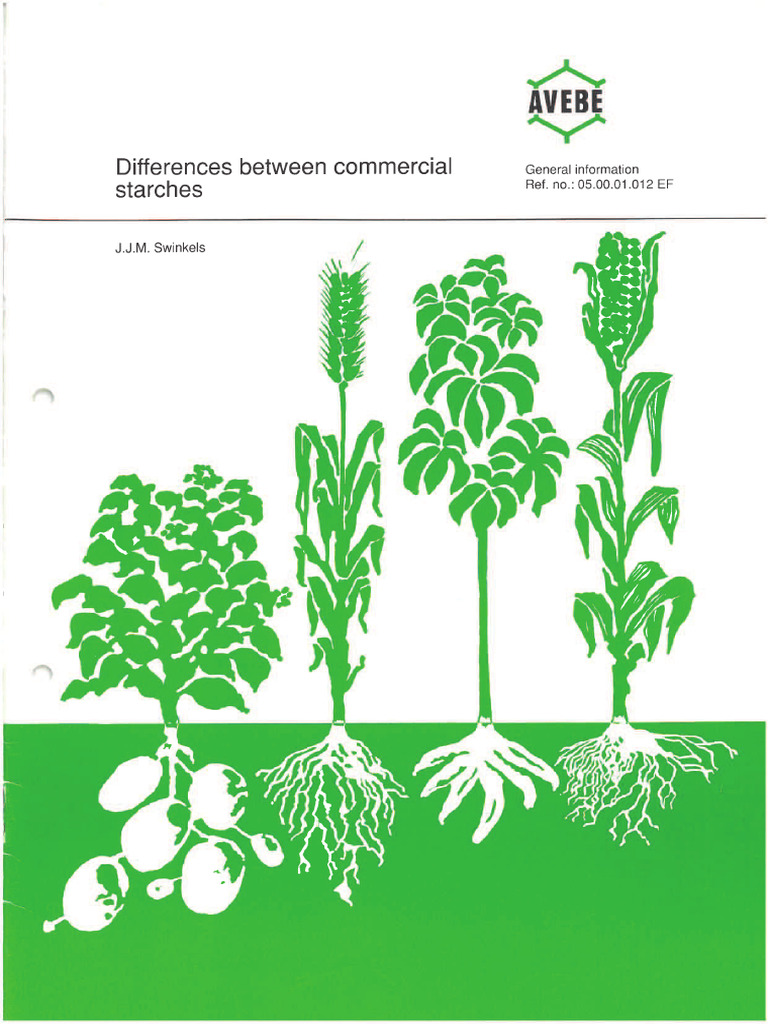 Avebe | PDF