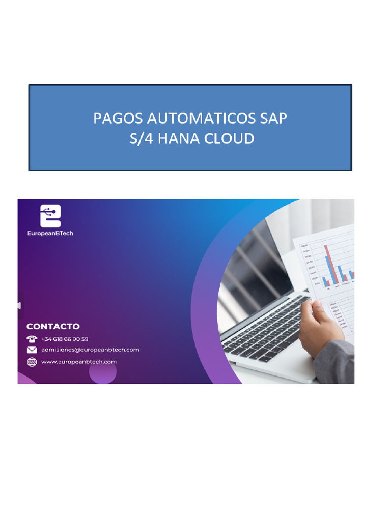 Pagos Automaticos Sap Cloud | PDF | Computing | Software