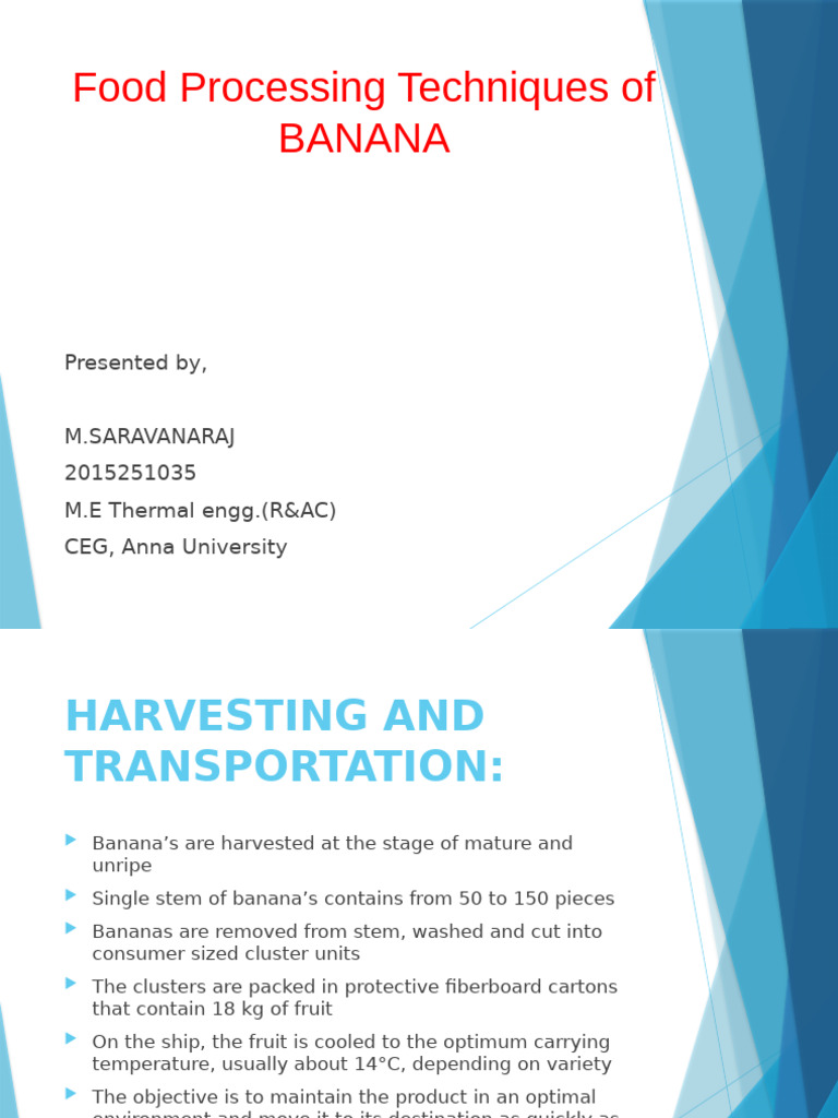 FPPT Banana | PDF | Banana | Humidity