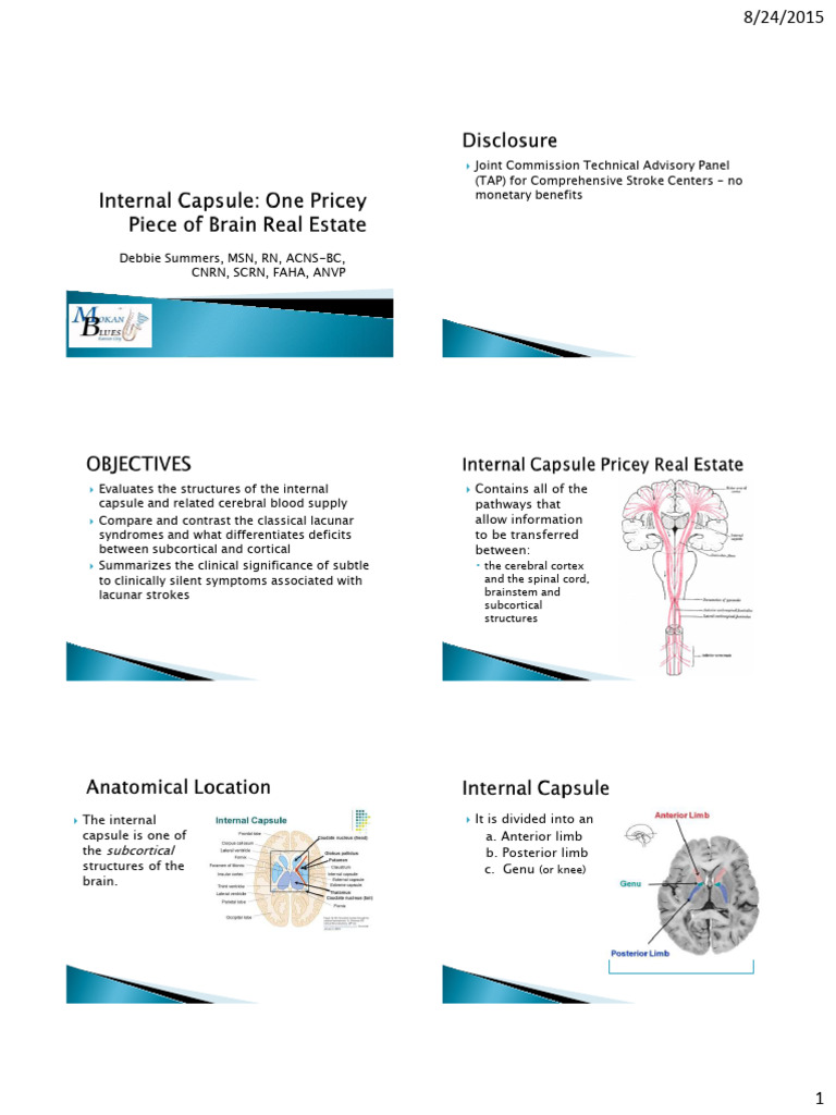 Summers Internal Capsule Strokes | PDF | Basal Ganglia | Striatum