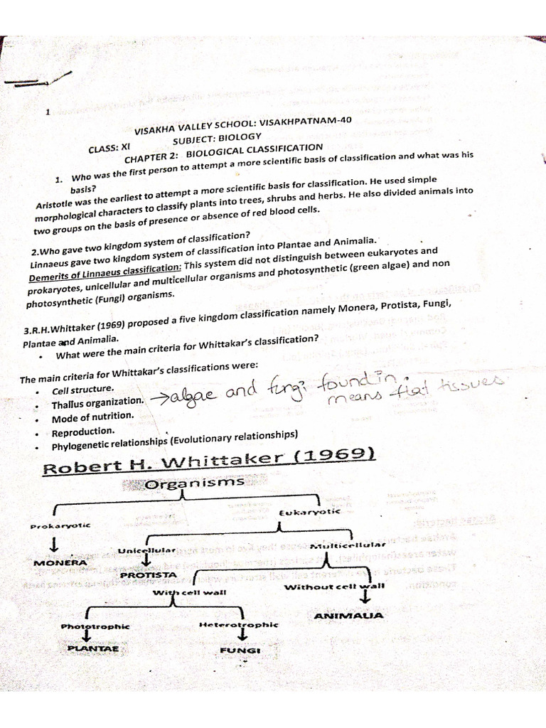 Biology Class 11 | PDF