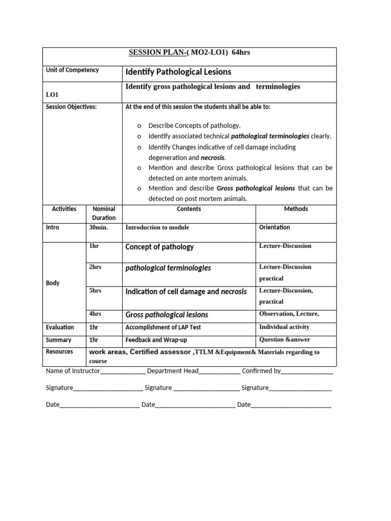SESSION PLAN for pathological lesions2 | PDF | Inflammation | Pathology