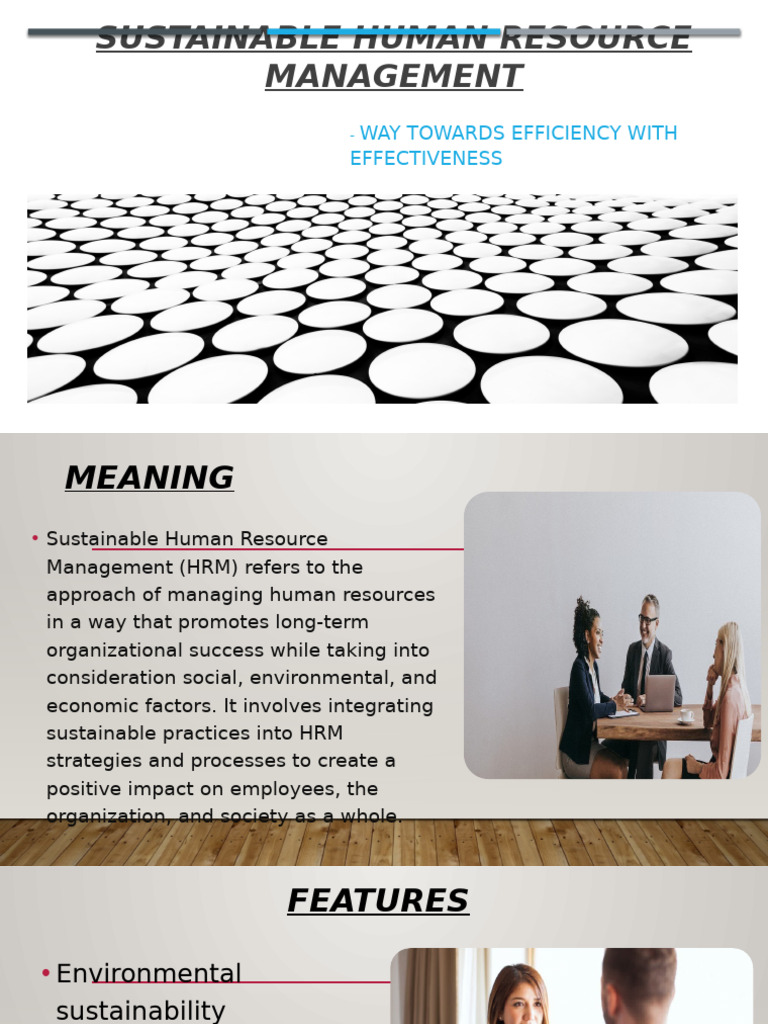 Sustainable Human Resource Management Overview | PDF